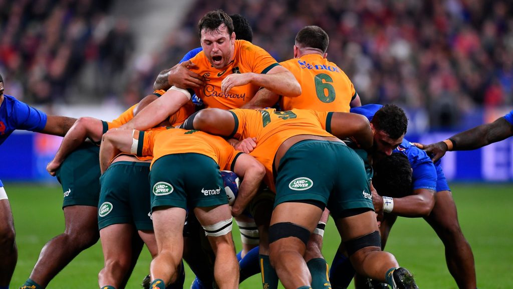 Is Jed Holloway the man to fix Australia's lineout woes?